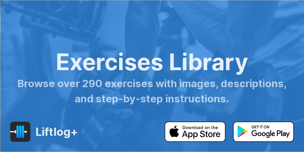 Exercises Library | Liftlog+