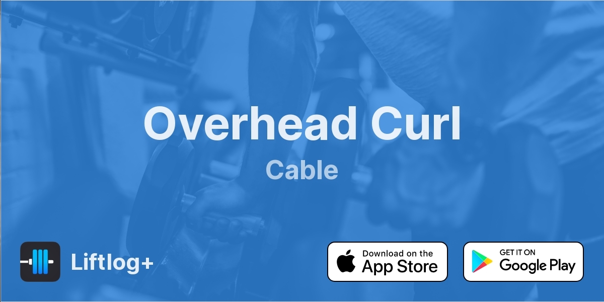 Overhead Curl | Liftlog+